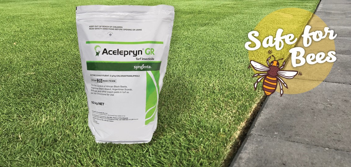 Bee safe – safeguard for your lawn - Active Turf Supplies