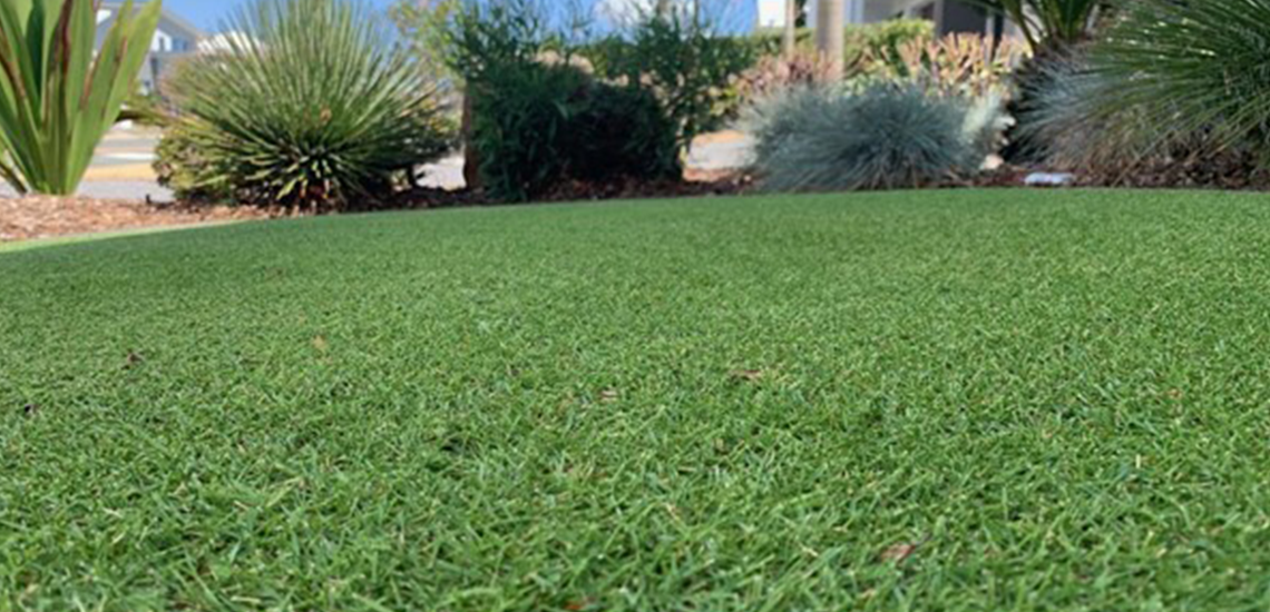 What Does Iron Do for Lawns? - Active Turf Supplies