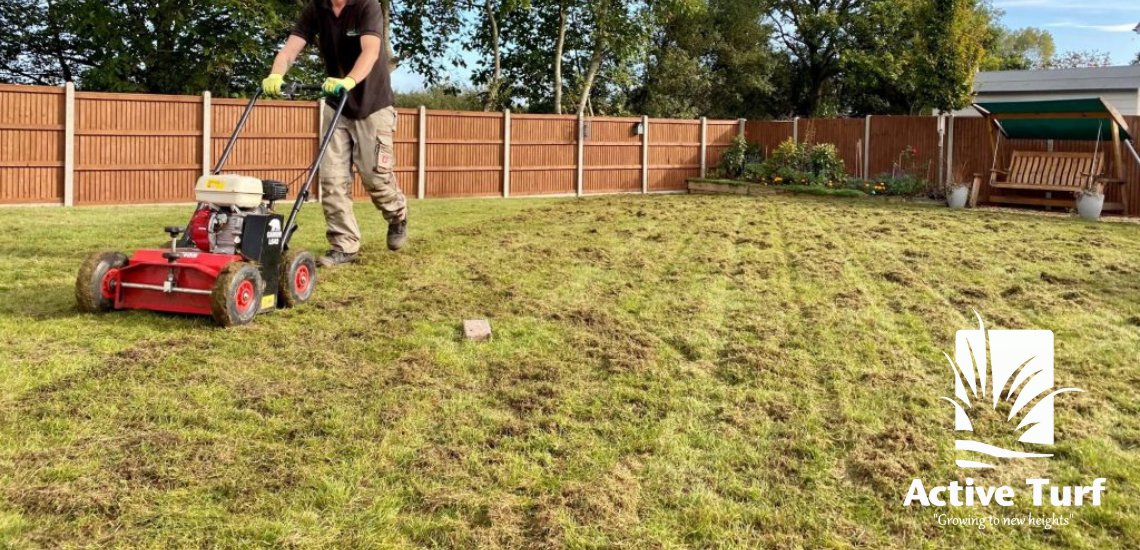 Mastering Lawn Renovation: Your Complete Success Handbook - Active Turf Supplies
